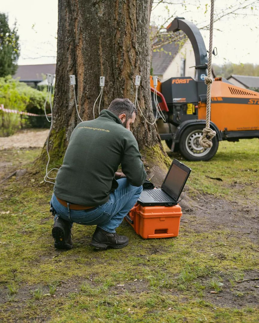 Garten- und Landschaftsbau vom Profi aus Bergen | HAASE